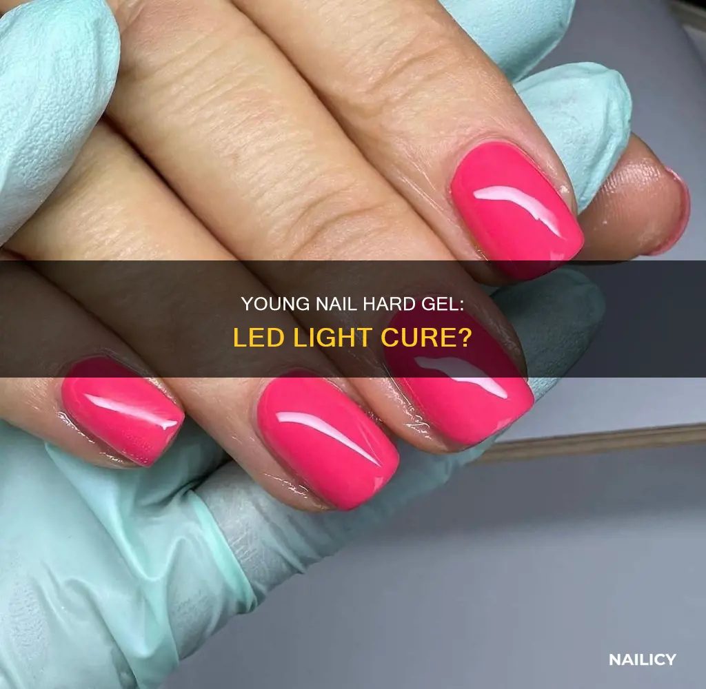 Young Nail Hard Gel: Led Light Cure? | Nailicy