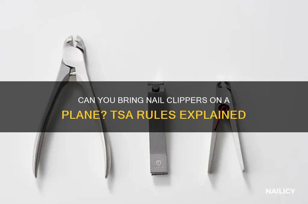 Can You Bring Nail Clippers On A Plane? Tsa Rules Explained | Nailicy