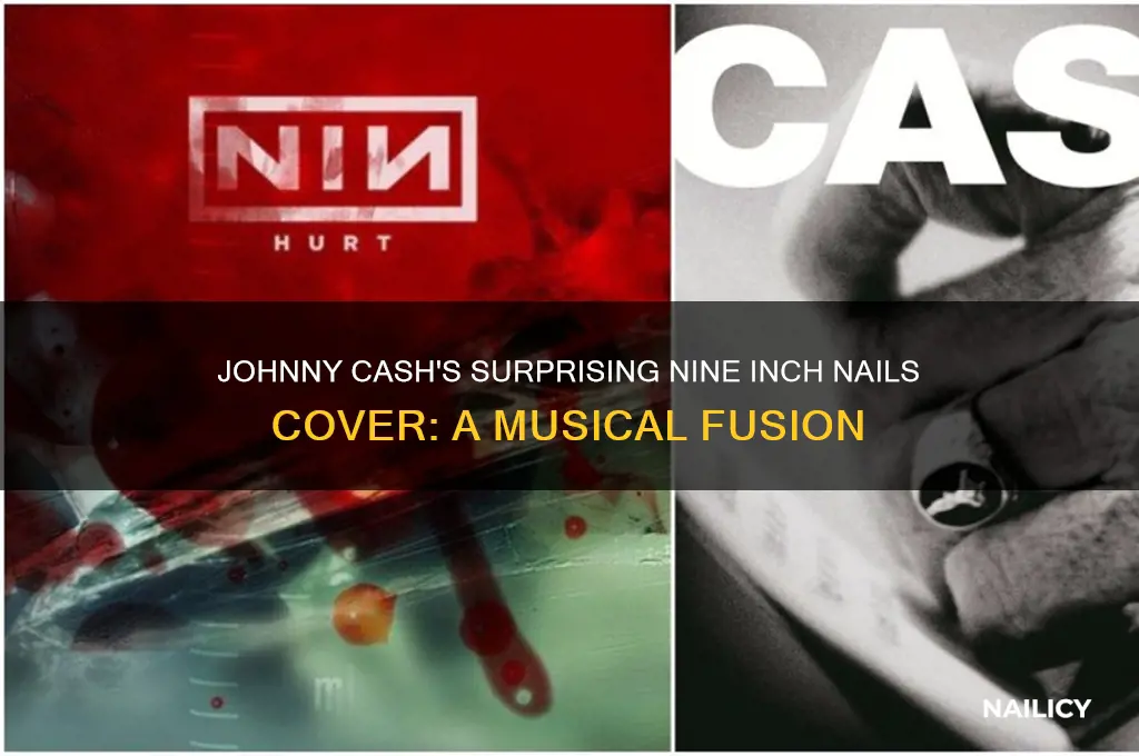 Johnny Cash's Surprising Nine Inch Nails Cover: A Musical Fusion | Nailicy