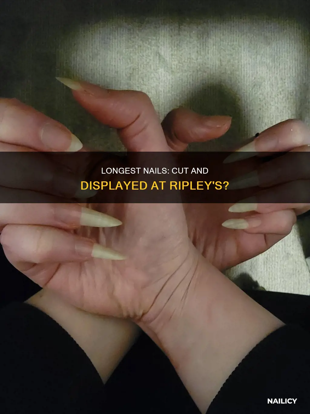 Longest Nails: Cut And Displayed At Ripley's? | Nailicy