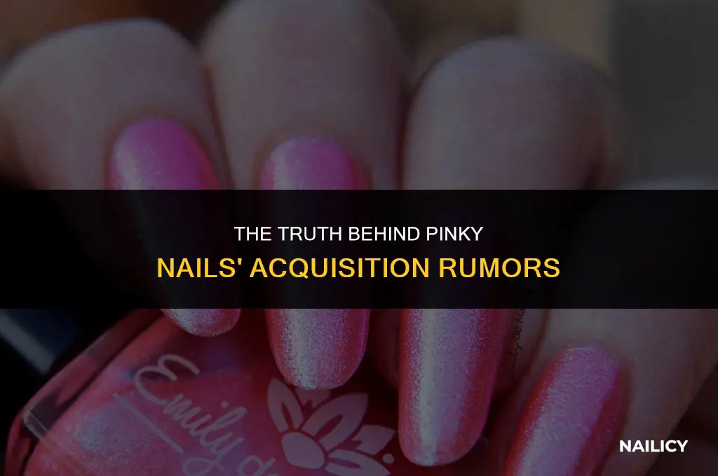 The Truth Behind Pinky Nails' Acquisition Rumors | Nailicy