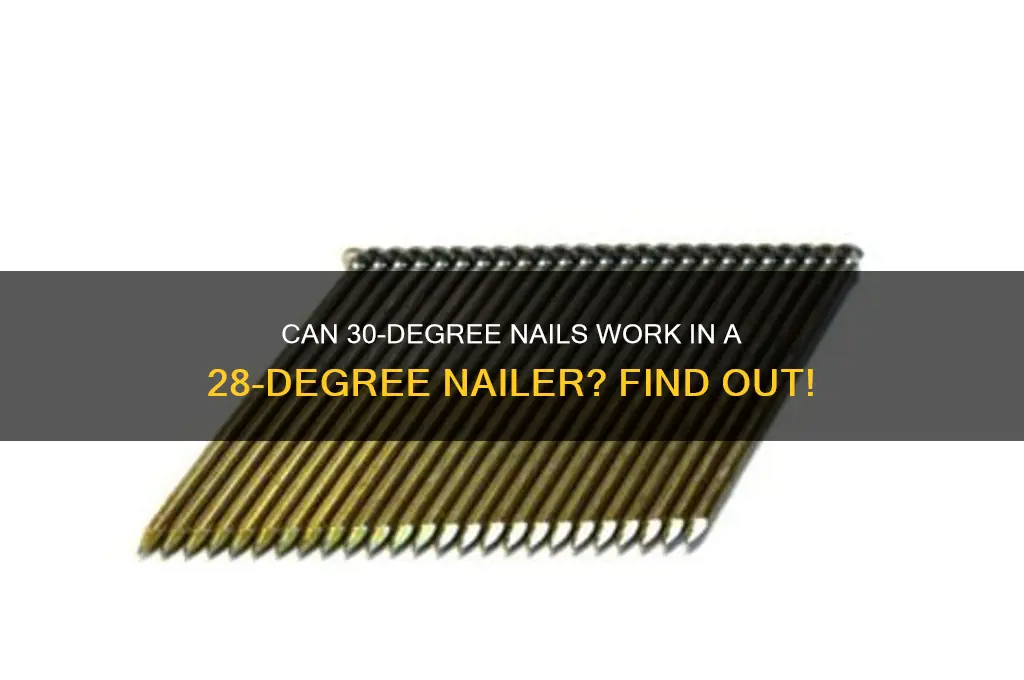 Can 30-Degree Nails Work In A 28-Degree Nailer? Find Out! | Nailicy