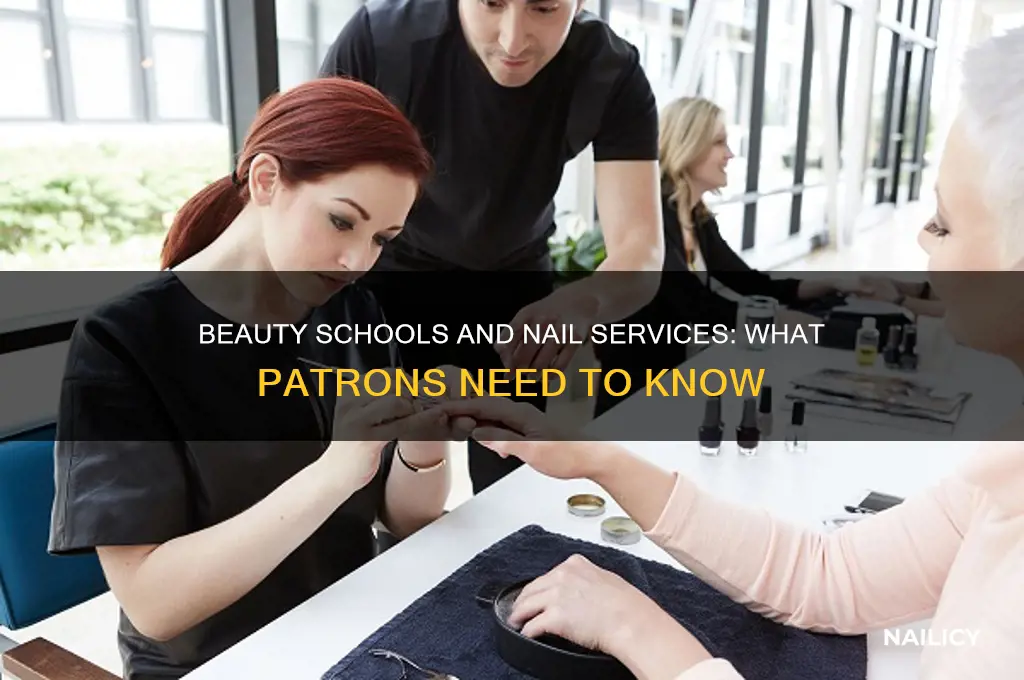 Beauty Schools And Nail Services: What Patrons Need To Know | Nailicy
