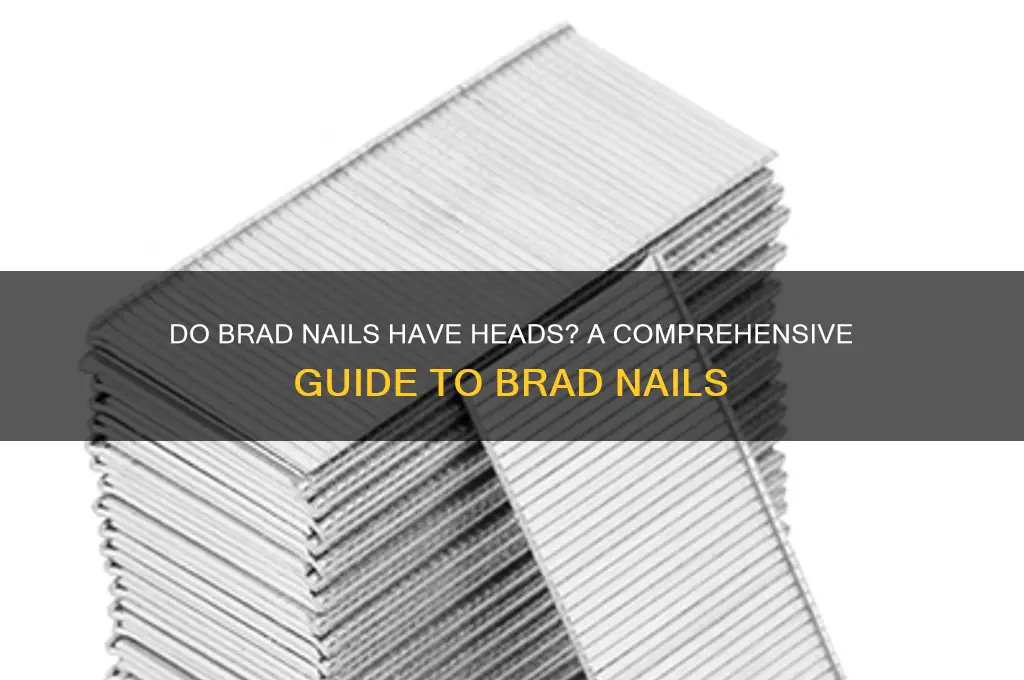 Do Brad Nails Have Heads? A Comprehensive Guide To Brad Nails | Nailicy