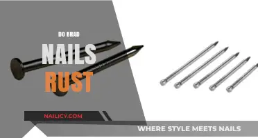 Do Brad Nails Rust? Understanding Corrosion In Small Fasteners | Nailicy