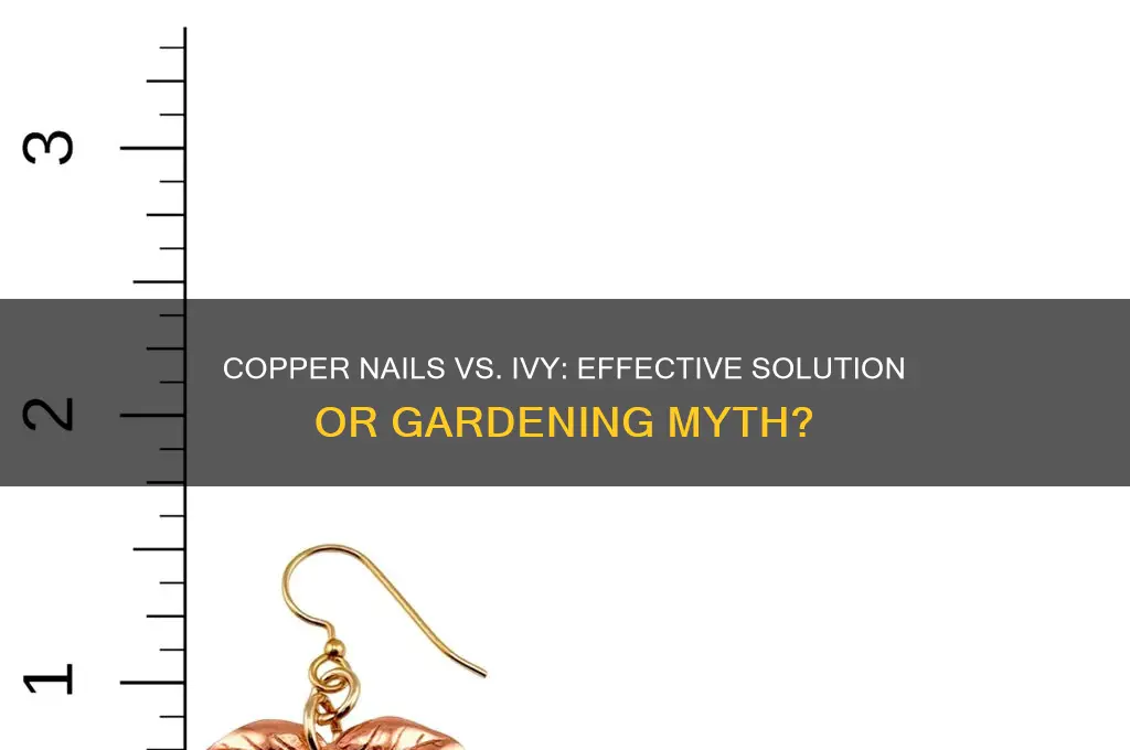 Copper Nails Vs. Ivy: Effective Solution Or Gardening Myth? | Nailicy