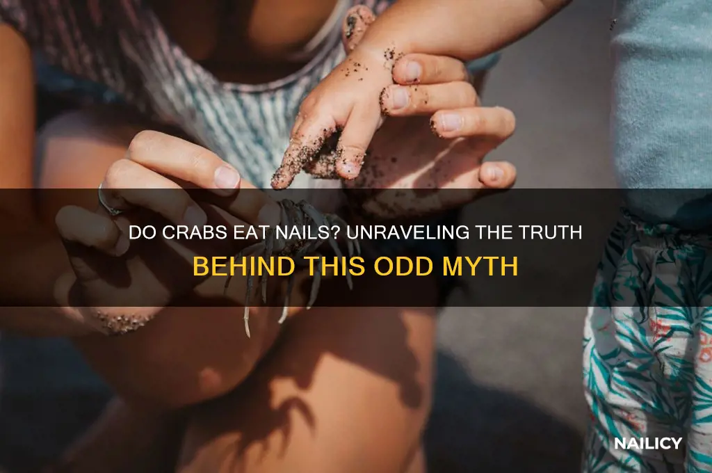 Do Crabs Eat Nails? Unraveling The Truth Behind This Odd Myth | Nailicy