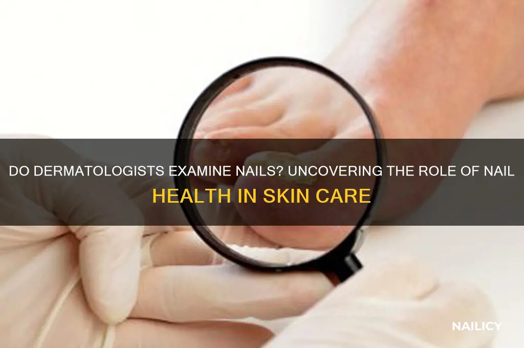 Do Dermatologists Examine Nails? Uncovering The Role Of Nail Health In ...