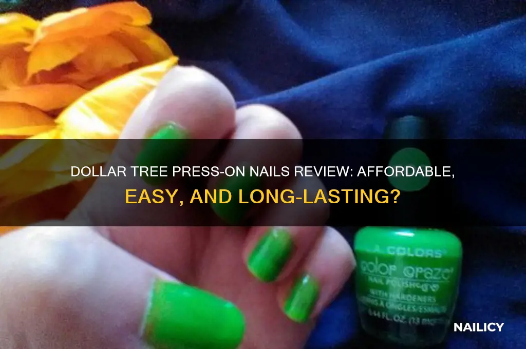 Dollar Tree Press-On Nails Review: Affordable, Easy, And Long-Lasting ...