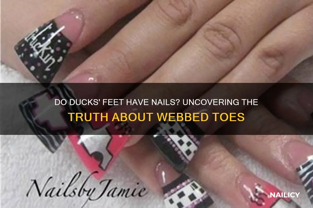 Do Ducks' Feet Have Nails? Uncovering The Truth About Webbed Toes | Nailicy