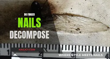 Finger Nerve Sensation: Nails And Nerve Endings Explained | Nailicy