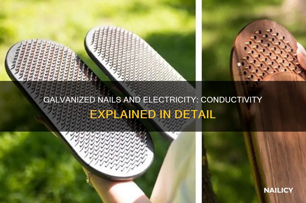 Galvanized Nails And Electricity: Conductivity Explained In Detail ...
