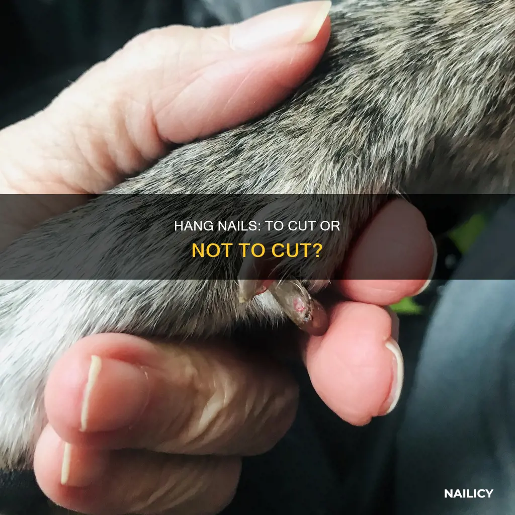 Hang Nails: To Cut Or Not To Cut? | Nailicy
