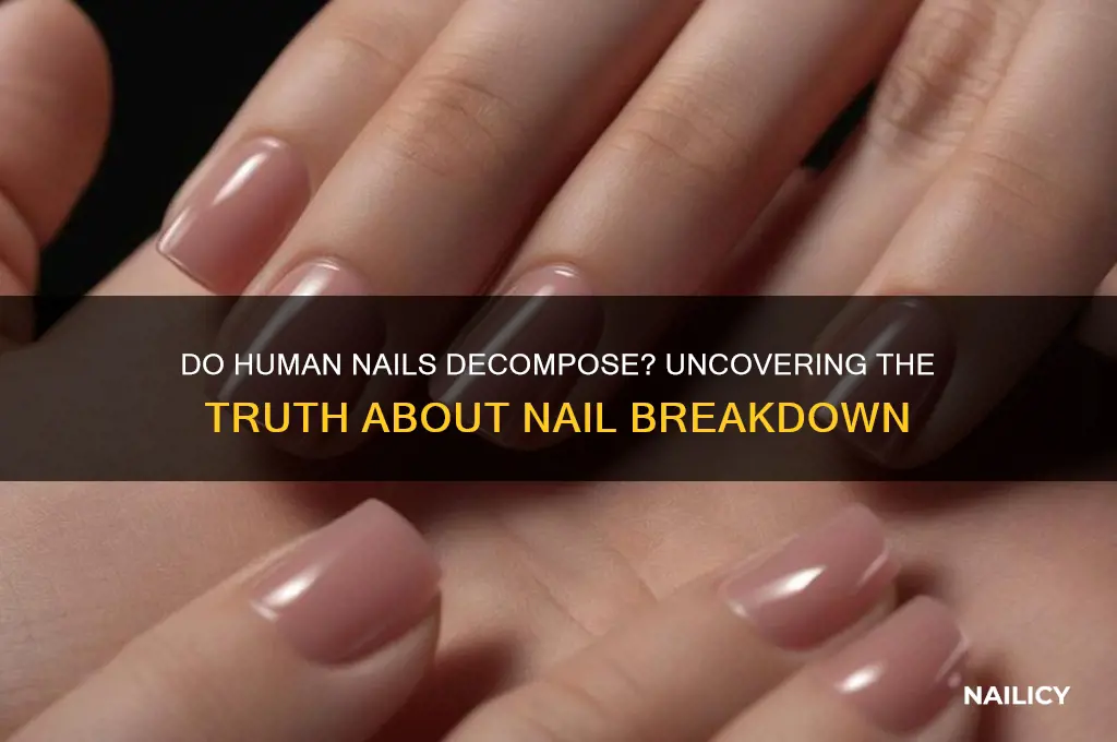 Do Human Nails Decompose? Uncovering The Truth About Nail Breakdown ...