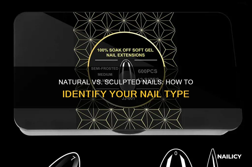 Natural Vs. Sculpted Nails: How To Identify Your Nail Type | Nailicy