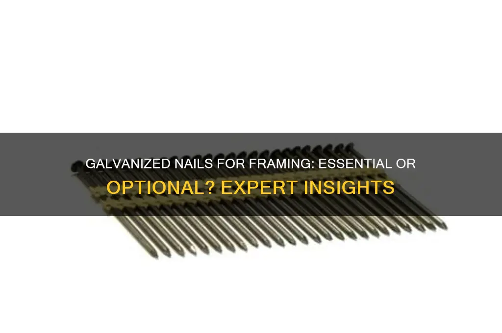 Galvanized Nails For Framing: Essential Or Optional? Expert Insights ...