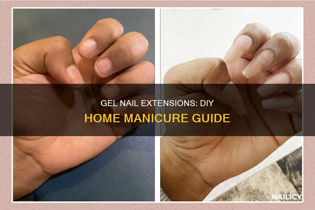 Gel Nail Extensions: Diy Home Manicure Guide | Nailicy