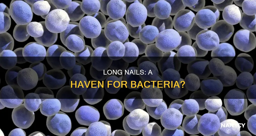 Long Nails: A Haven For Bacteria? | Nailicy