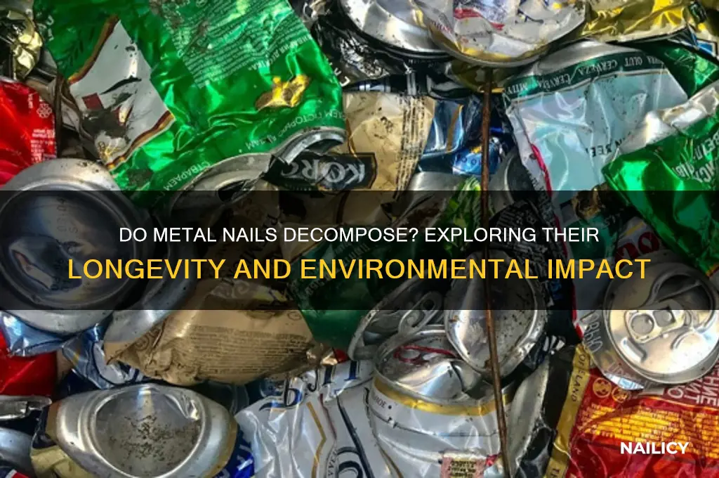 Do Metal Nails Decompose? Exploring Their Longevity And Environmental ...