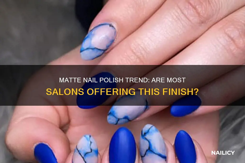 Matte Nail Polish Trend: Are Most Salons Offering This Finish? | Nailicy