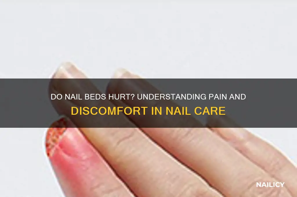Do Nail Beds Hurt? Understanding Pain And Discomfort In Nail Care | Nailicy