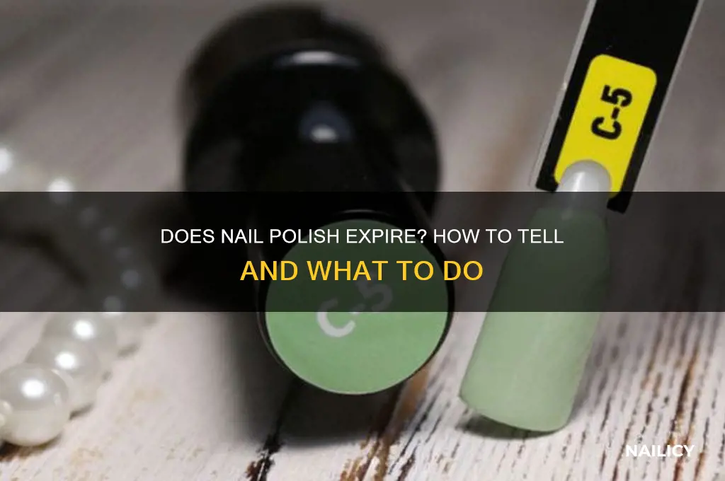 Does Nail Polish Expire? How To Tell And What To Do | Nailicy