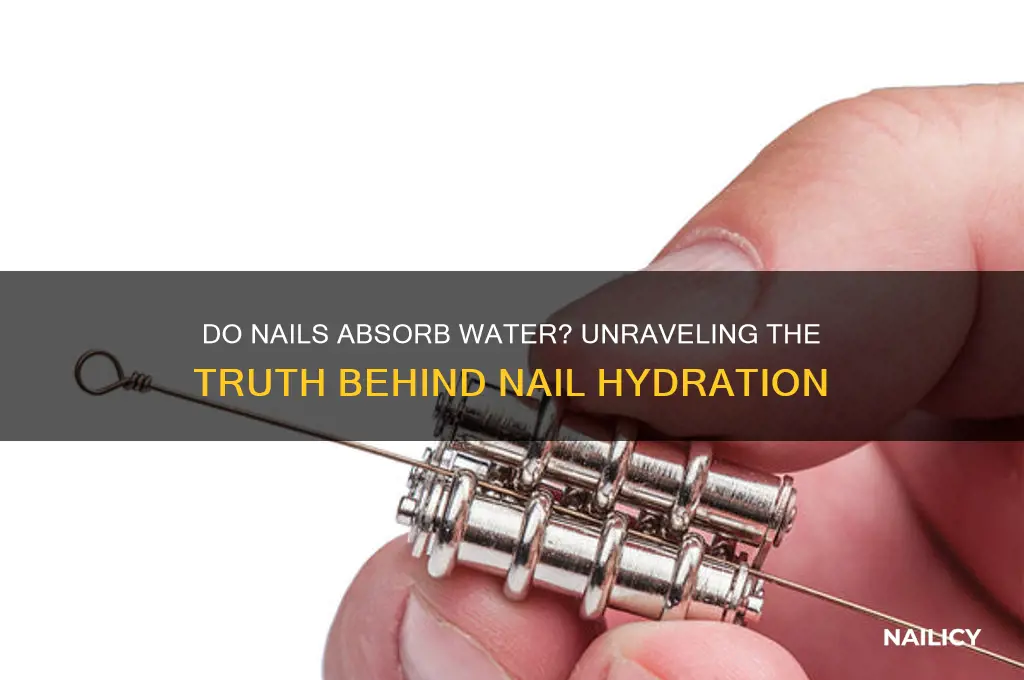 Do Nails Absorb Water? Unraveling The Truth Behind Nail Hydration | Nailicy