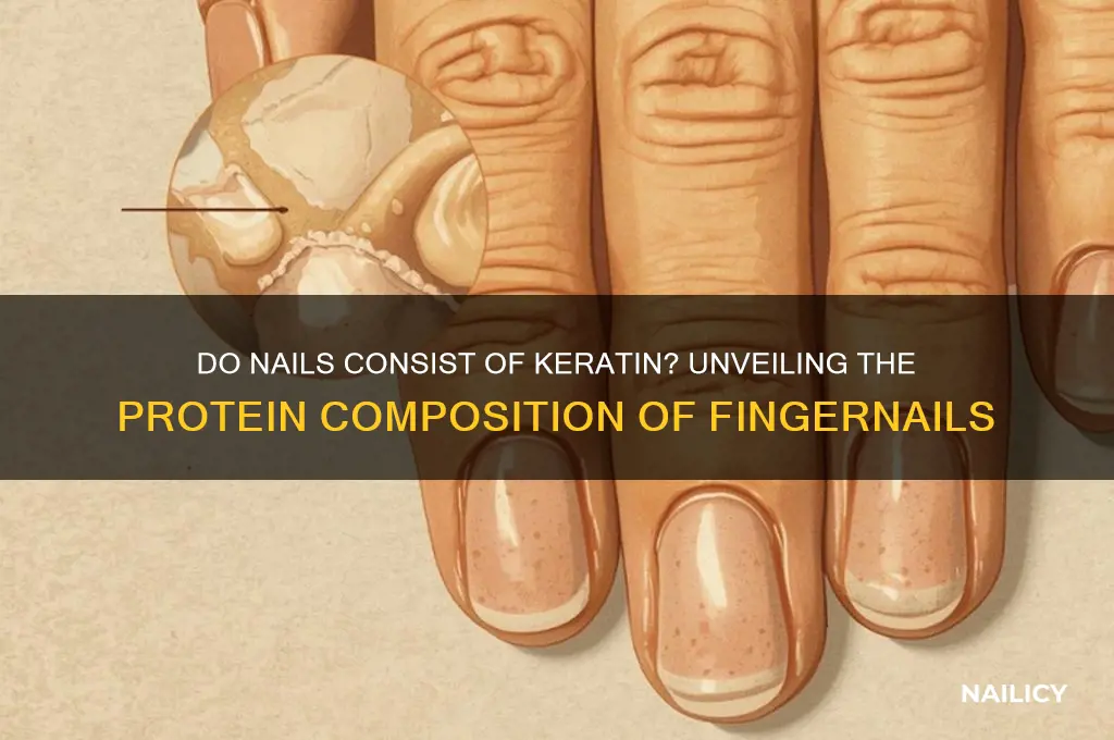 Do Nails Consist Of Keratin? Unveiling The Protein Composition Of ...