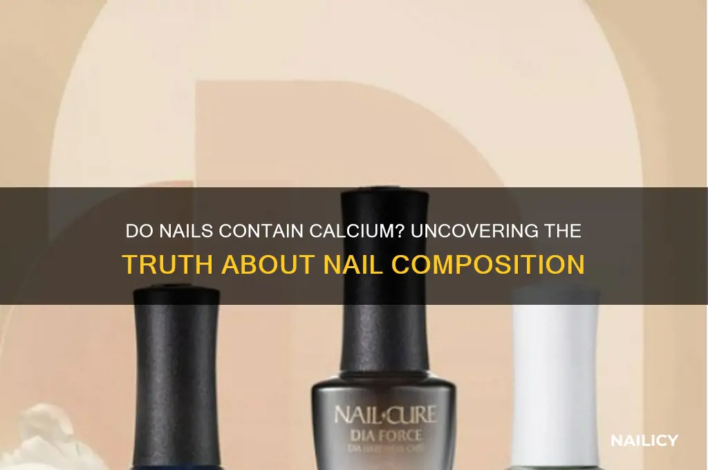 Do Nails Contain Calcium? Uncovering The Truth About Nail Composition ...