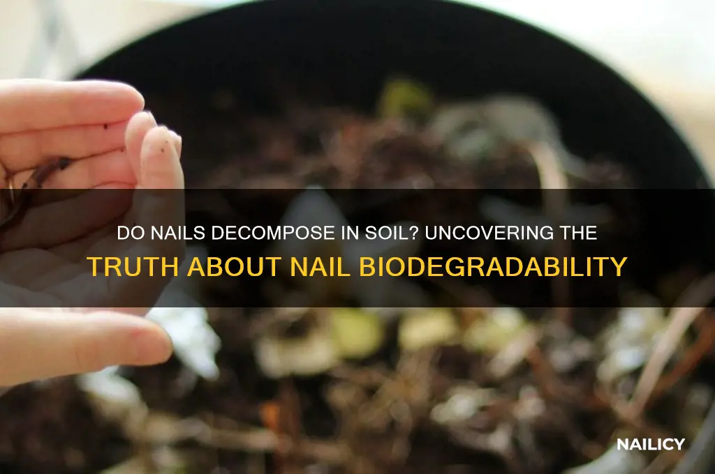 Do Nails Decompose In Soil? Uncovering The Truth About Nail ...