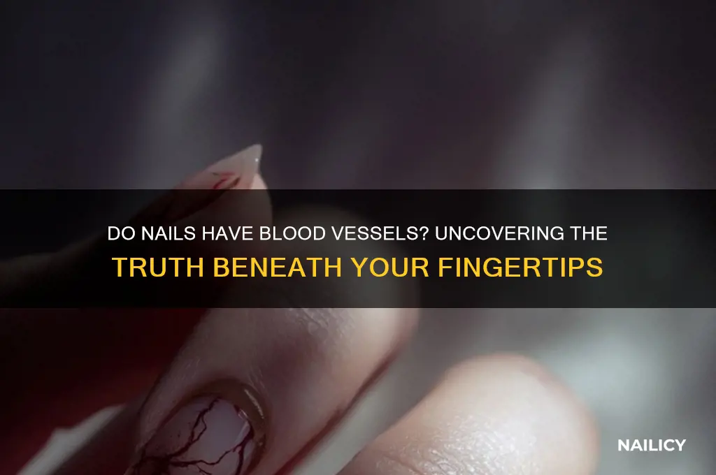 Do Nails Have Blood Vessels? Uncovering The Truth Beneath Your ...