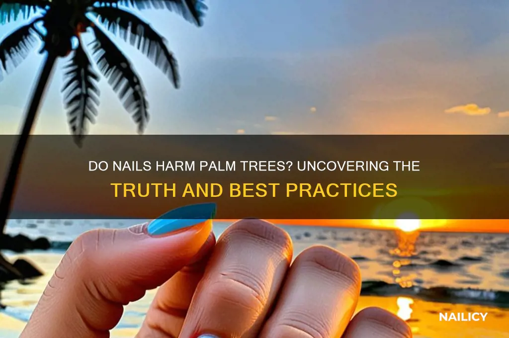 Do Nails Harm Palm Trees? Uncovering The Truth And Best Practices | Nailicy
