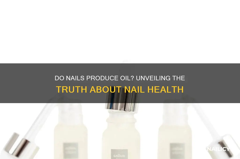 Do Nails Produce Oil? Unveiling The Truth About Nail Health | Nailicy