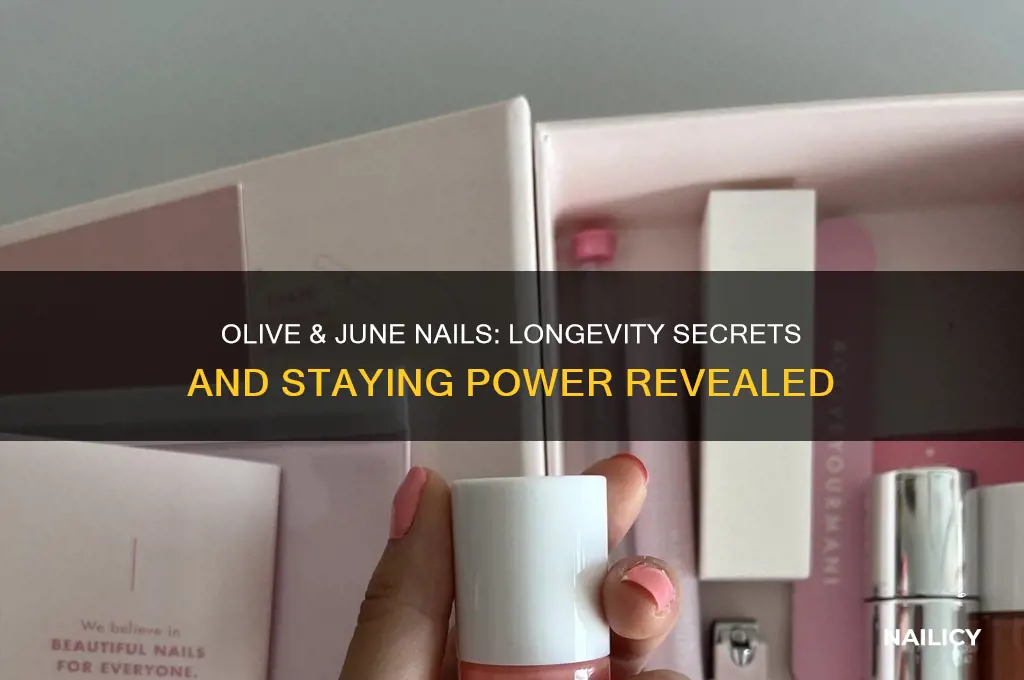 Olive & June Nails: Longevity Secrets And Staying Power Revealed | Nailicy