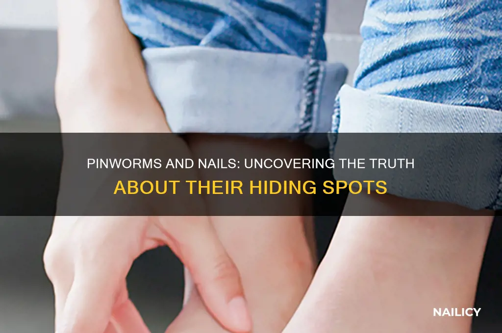 Pinworms And Nails: Uncovering The Truth About Their Hiding Spots | Nailicy