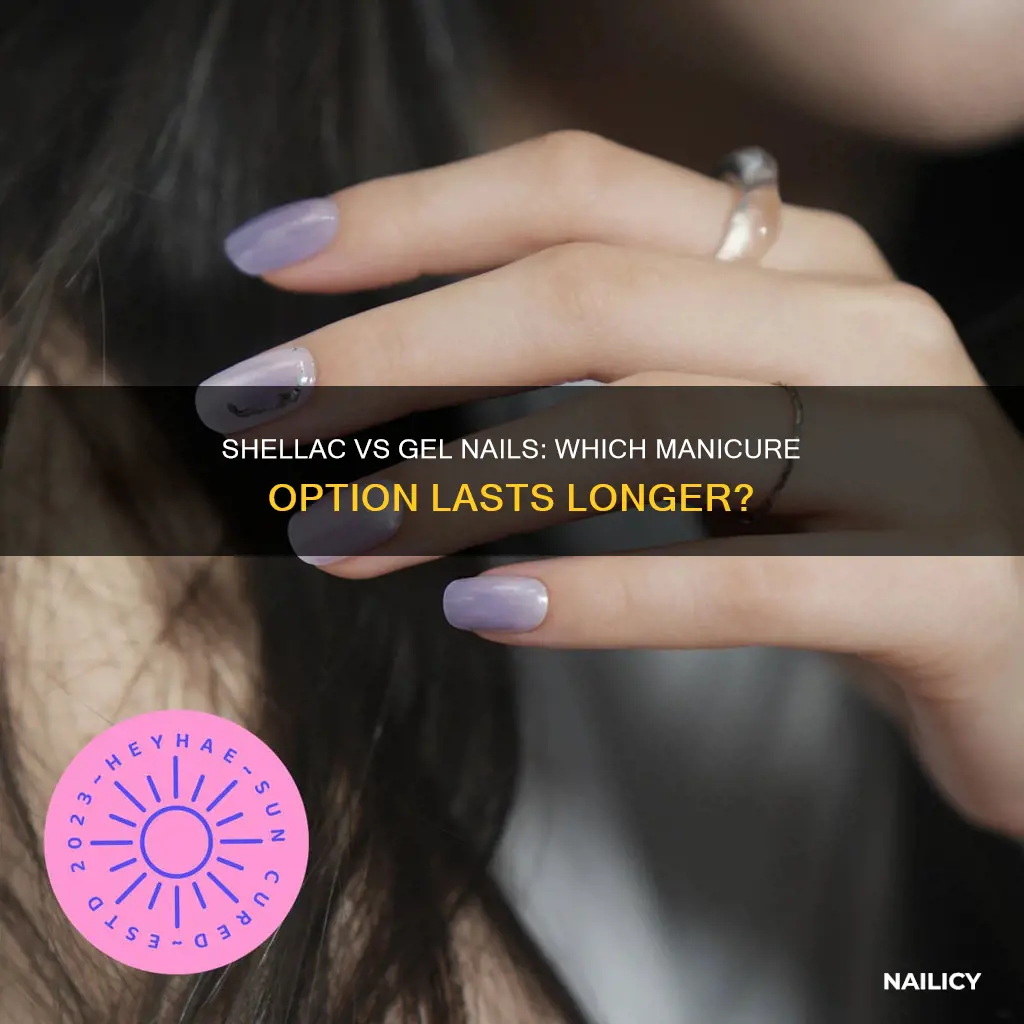 Shellac Vs Gel Nails: Which Manicure Option Lasts Longer? | Nailicy