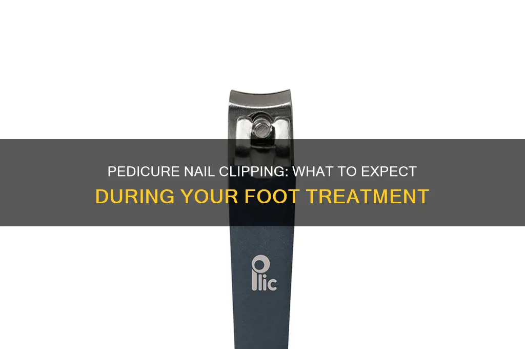 Pedicure Nail Clipping: What To Expect During Your Foot Treatment | Nailicy