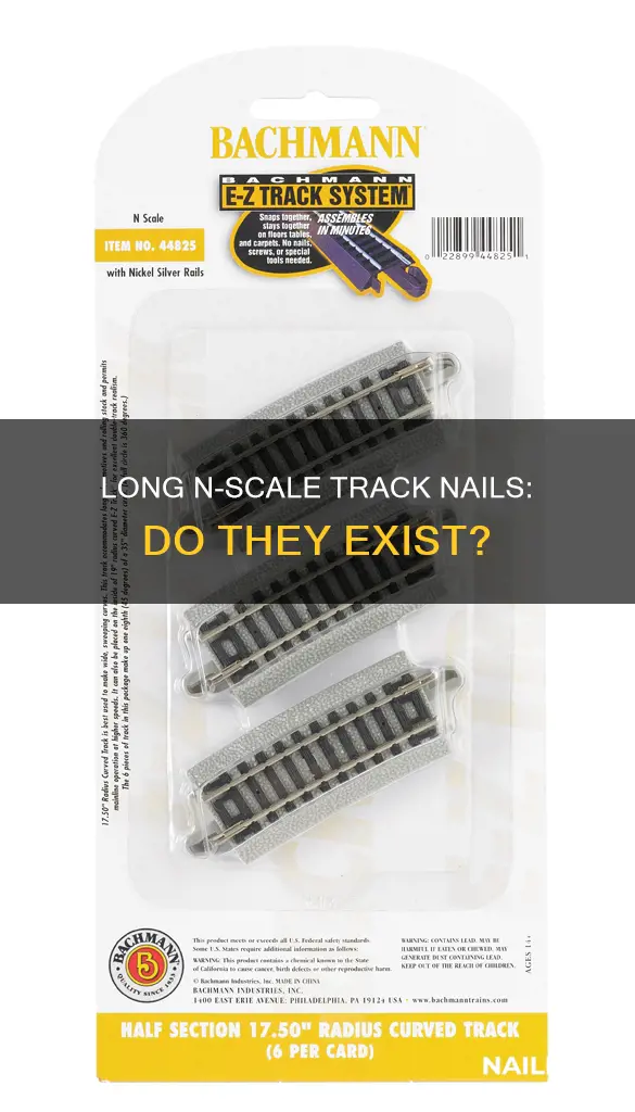 Long N-Scale Track Nails: Do They Exist? | Nailicy