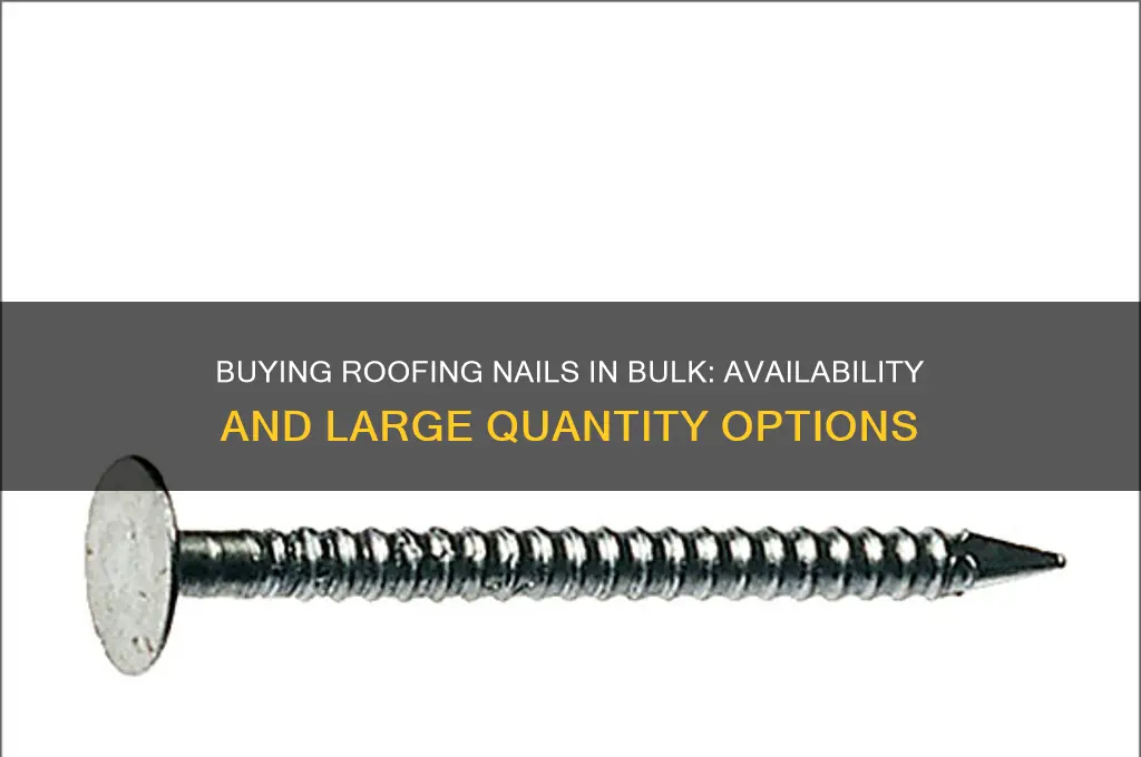 Buying Roofing Nails In Bulk: Availability And Large Quantity Options ...