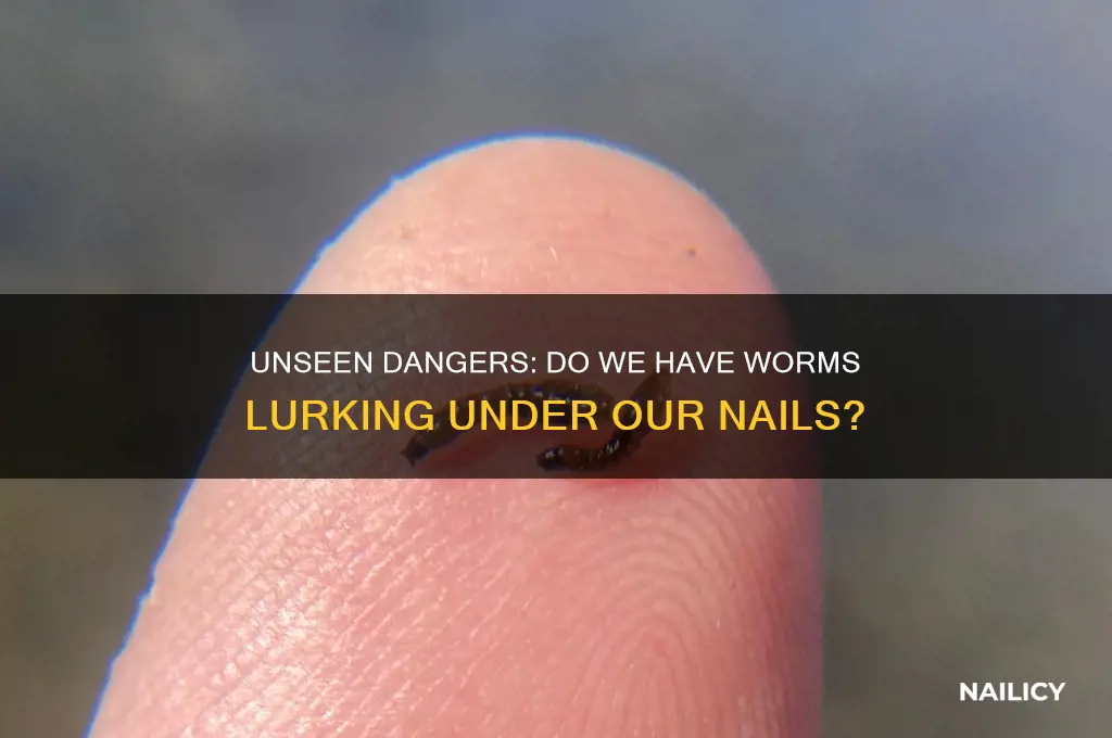 Unseen Dangers: Do We Have Worms Lurking Under Our Nails? | Nailicy