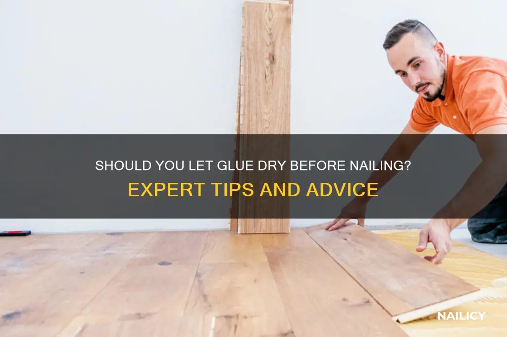 Should You Let Glue Dry Before Nailing? Expert Tips And Advice | Nailicy