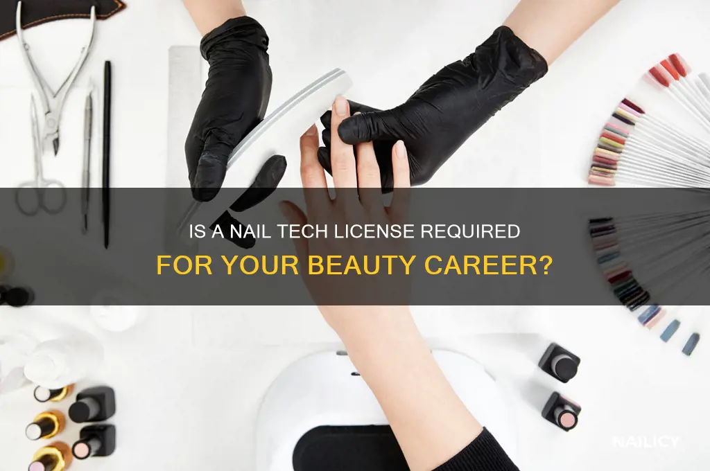 Is A Nail Tech License Required For Your Beauty Career? | Nailicy