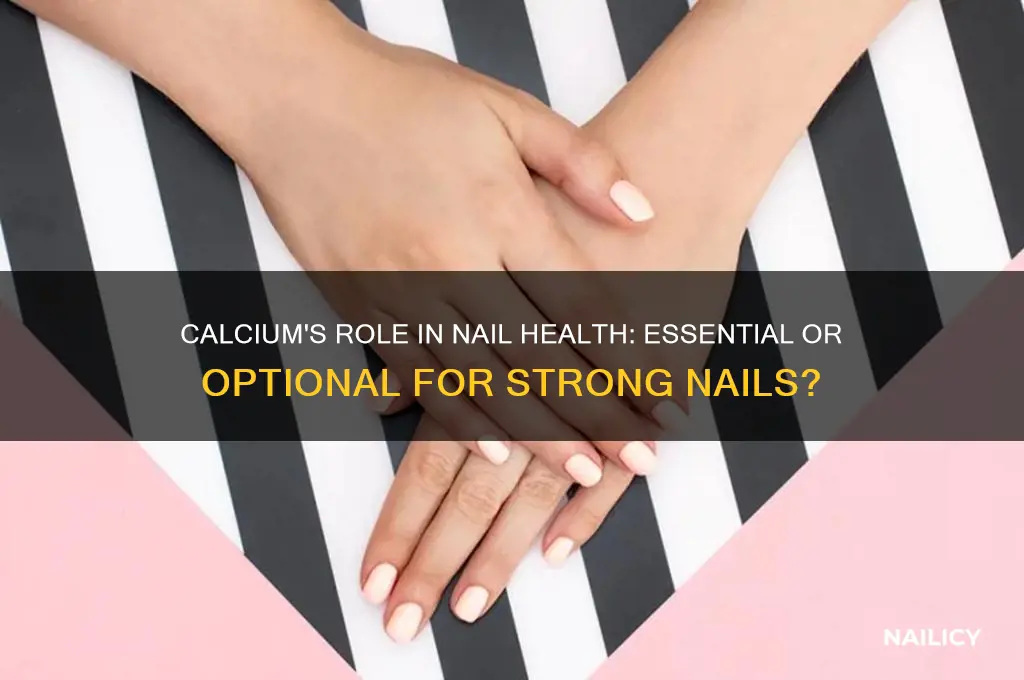 Calcium's Role In Nail Health: Essential Or Optional For Strong Nails ...