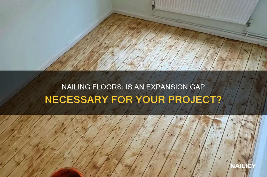 Nailing Floors: Is An Expansion Gap Necessary For Your Project? | Nailicy