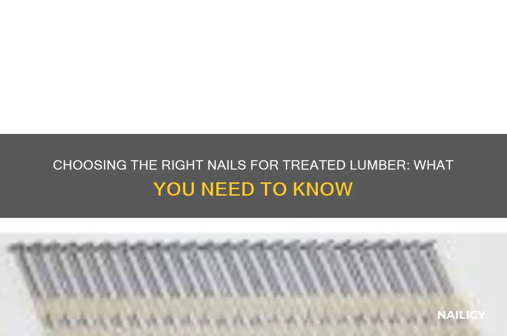 Choosing The Right Nails For Treated Lumber: What You Need To Know ...