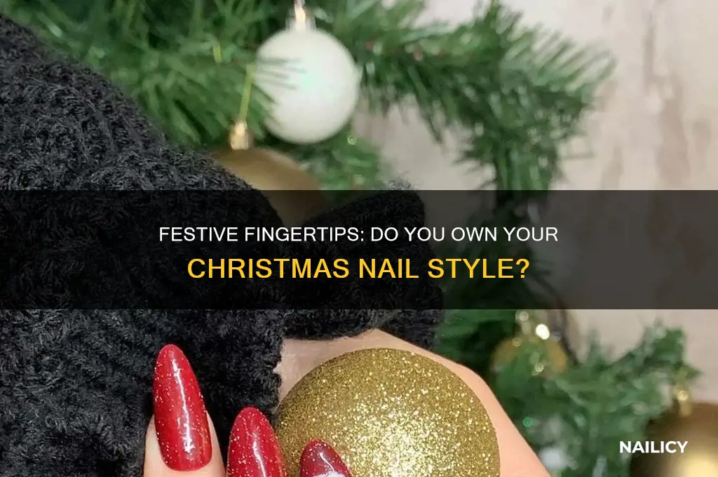 Festive Fingertips: Do You Own Your Christmas Nail Style? | Nailicy
