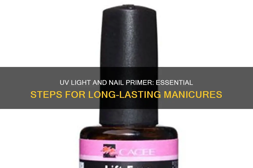 Uv Light And Nail Primer: Essential Steps For Long-Lasting Manicures ...