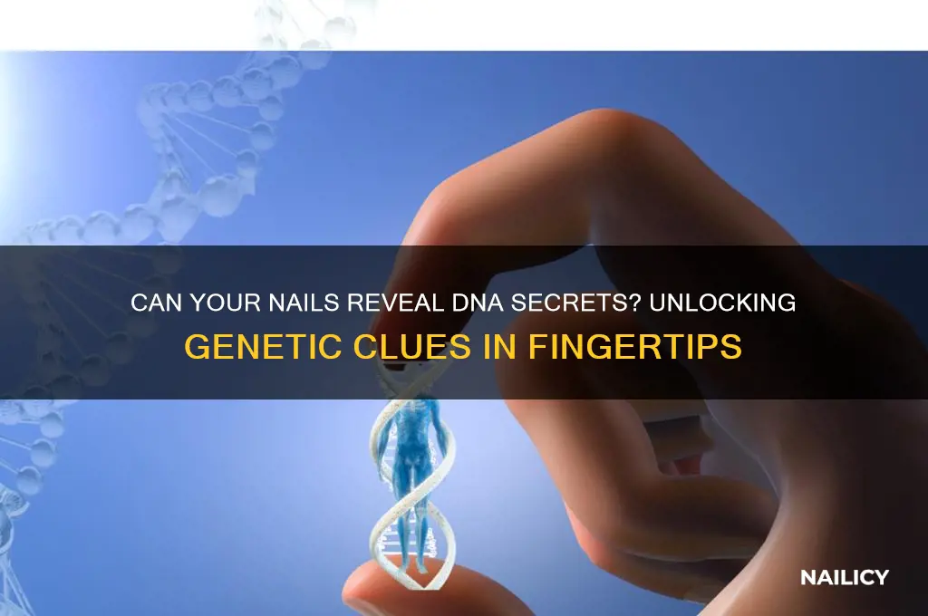 Can Your Nails Reveal Dna Secrets? Unlocking Genetic Clues In ...