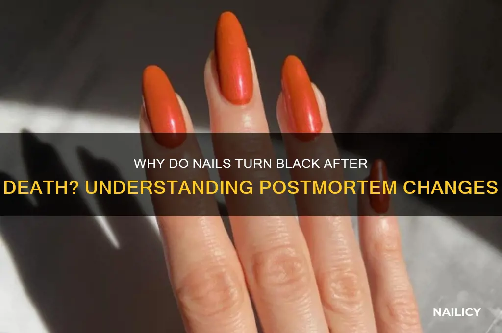 Why Do Nails Turn Black After Death? Understanding Postmortem Changes ...