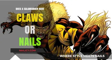 Claws Or Nails? Unveiling The Truth About Lizard Foot Anatomy | Nailicy